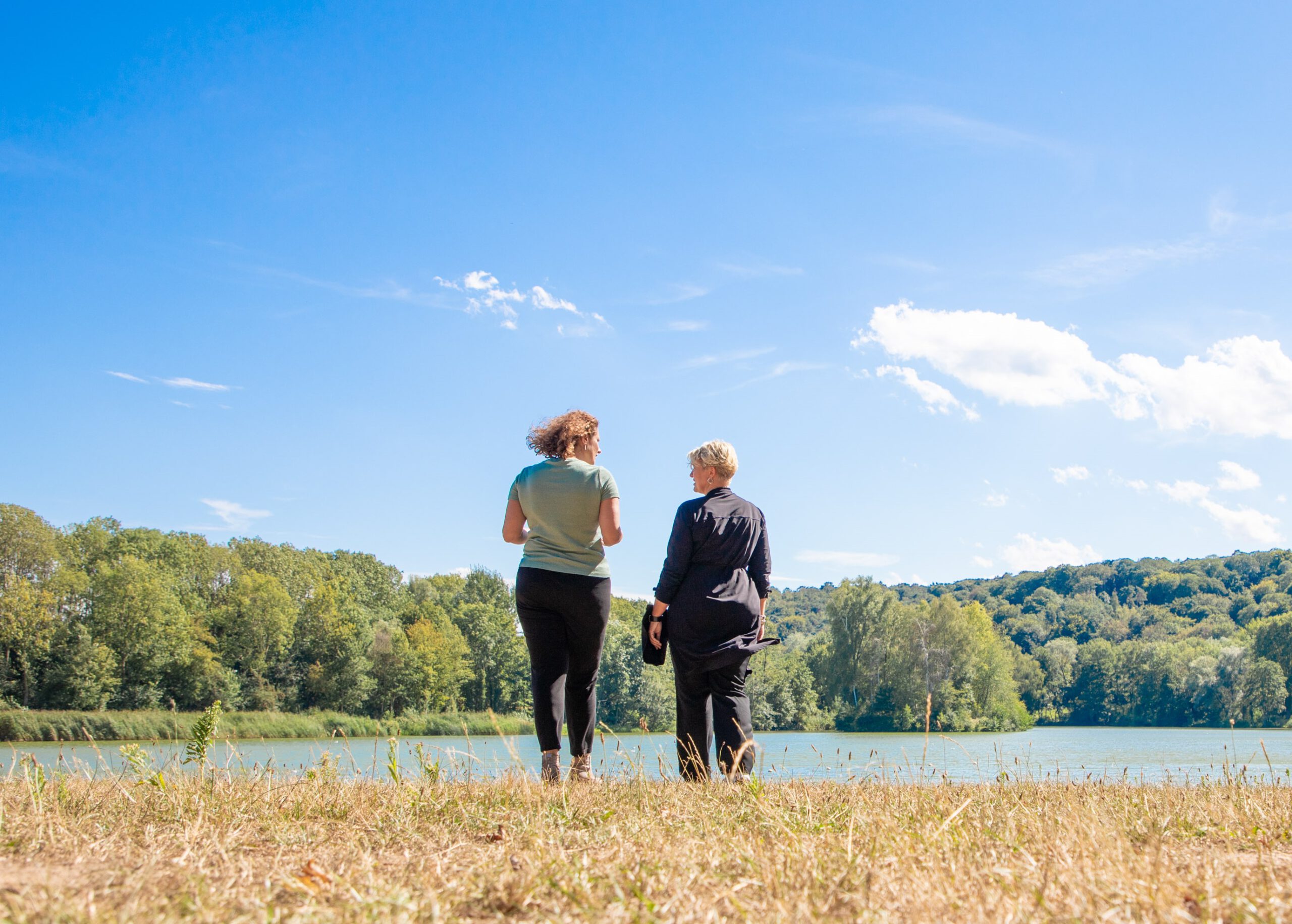Loopbaancoaching - Vierboom Loopbaan